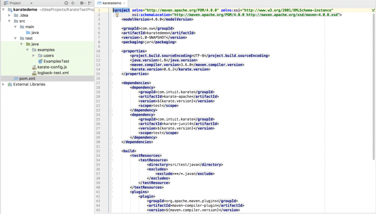 Karate Web Service Testing