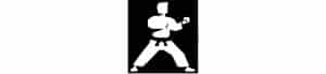 Calling Custom Java Code in Karate API Tests