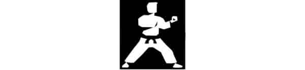 Calling Custom Java Code in Karate API Tests