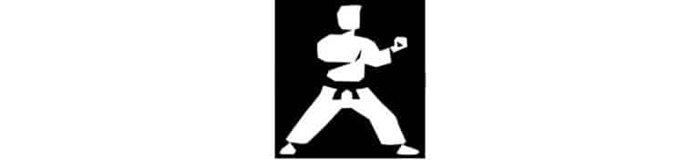 Calling Custom Java Code in Karate API Tests